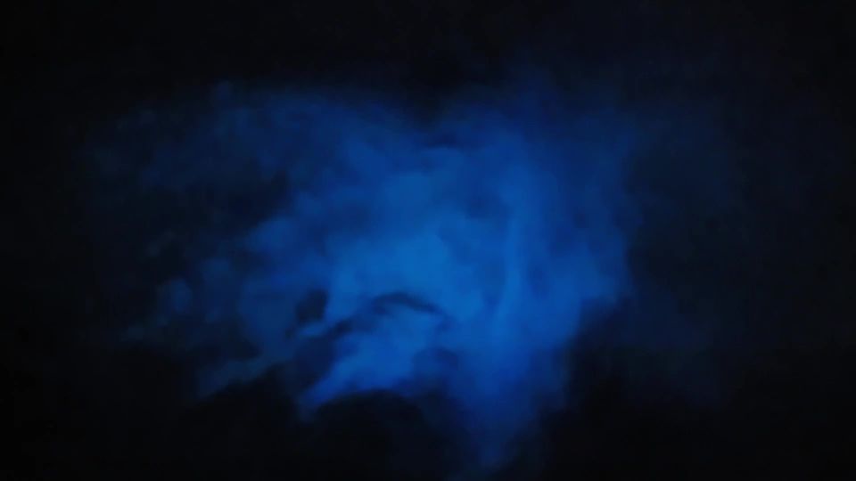 Orlando: Bioluminescence Kayak Adventure - Why This Tour Stands Out
