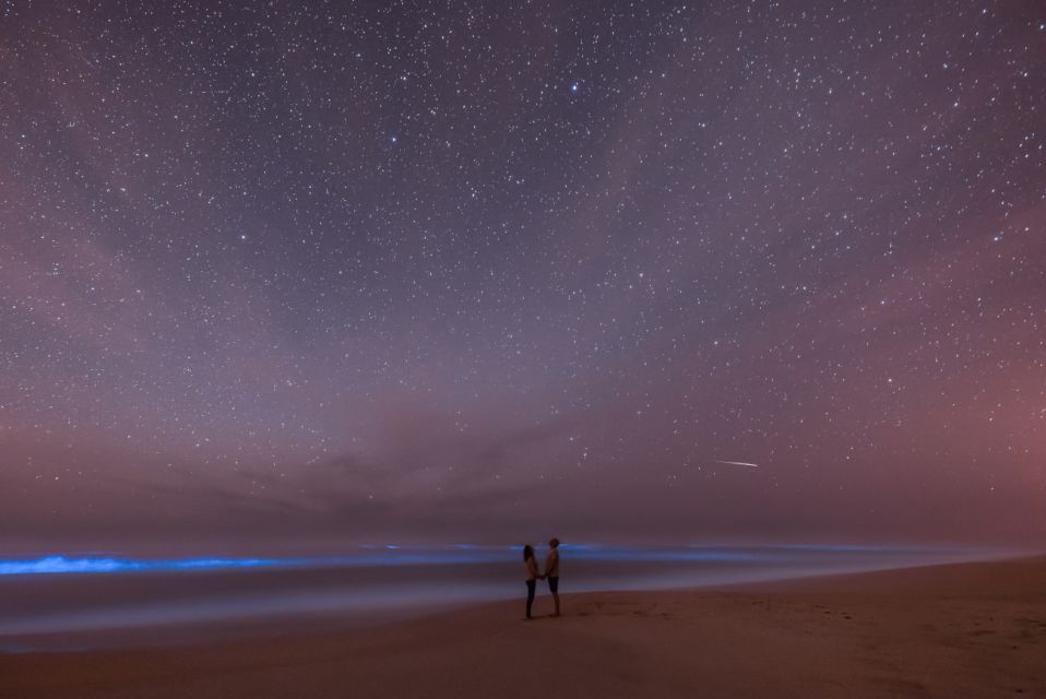 Orlando: Bioluminescence Kayak Adventure - Who Should Book This Experience?