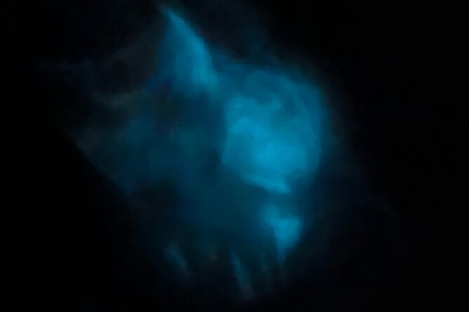 Orlando Bioluminescence Kayak Adventure - The Experience: What to Expect and Why It Matters
