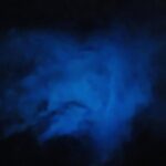 Orlando Bioluminescence Kayak Adventure - The Itinerary in Detail