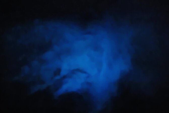 Orlando Bioluminescence Kayak Adventure - The Itinerary in Detail