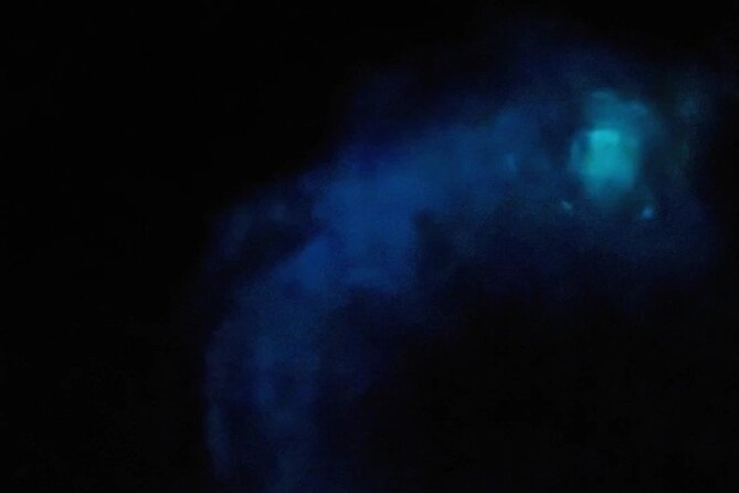 Orlando Bioluminescence Kayak Adventure - Final Thoughts: Is It Worth It?