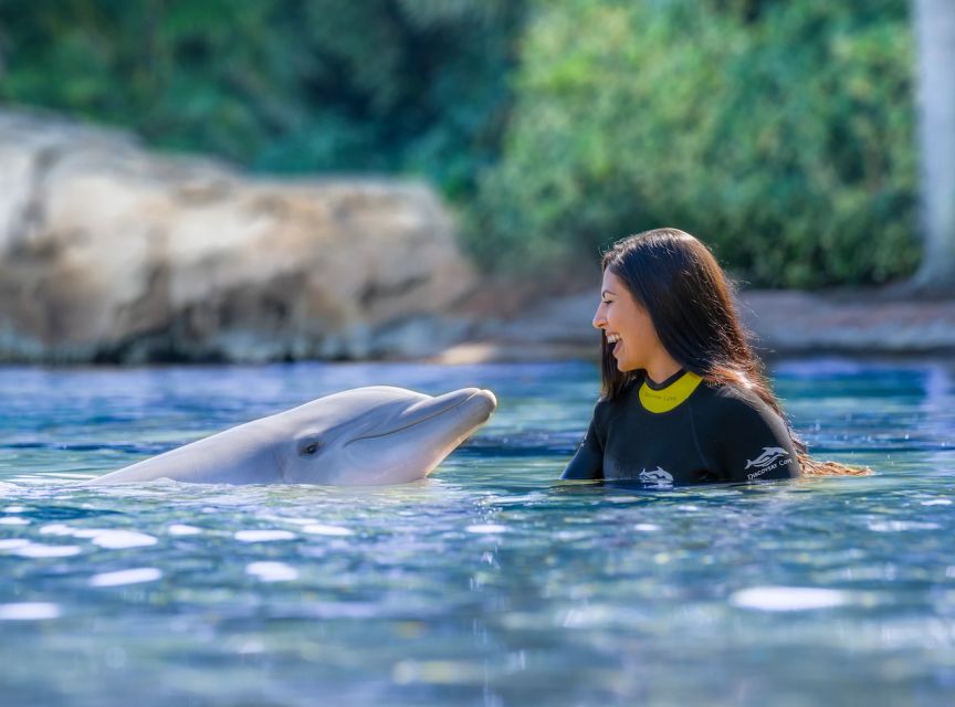 Orlando: Discovery Cove Admission Ticket & Additional Parks - The Experience Breakdown: What You Can Expect