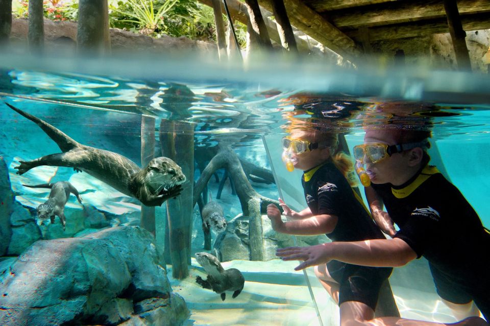Orlando: Discovery Cove Admission Ticket & Additional Parks - Who Should Consider Discovery Cove?