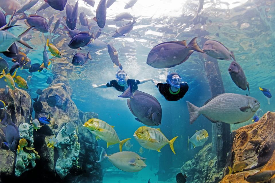 Orlando: Discovery Cove Admission Ticket & Additional Parks - Final Thoughts