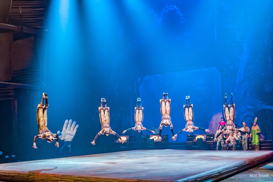 Orlando: "Drawn to Life" Cirque du Soleil Entry Pass - The Sum Up