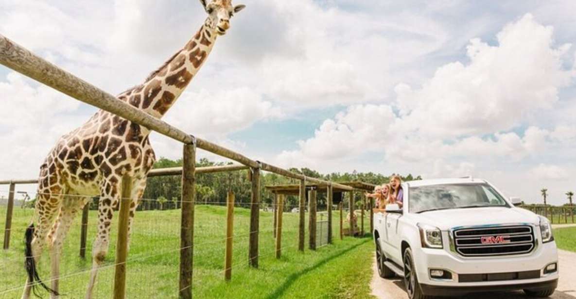 Orlando: Drive-Thru Safari Park at Wild Florida - The Drive-Through Itinerary: What to Expect