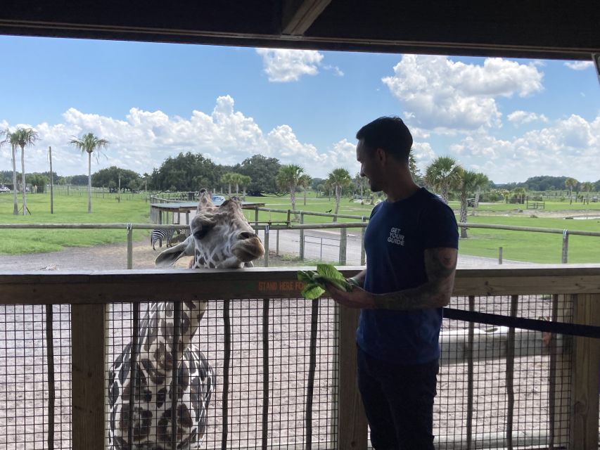 Orlando: Drive-Thru Safari Park at Wild Florida - The Sum Up: Is It Worth It?