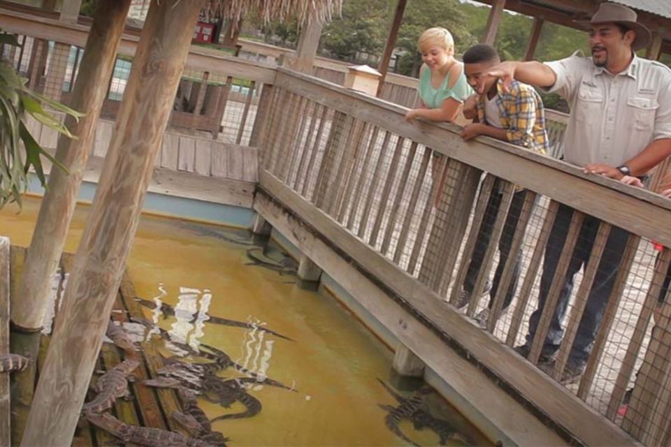 Orlando: Gatorland Interactive Tour with Animal Trainer - Orlando: Gatorland Interactive Tour with Animal Trainer – An In-Depth Review
