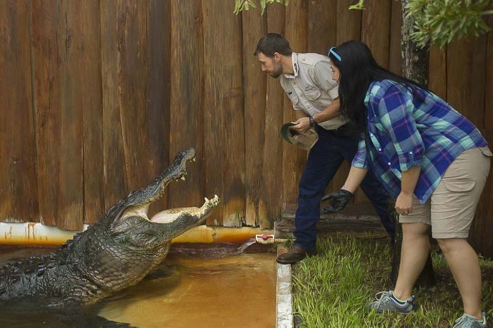 Orlando: Gatorland Interactive Tour with Animal Trainer - What to Expect from the Gatorland Interactive Tour