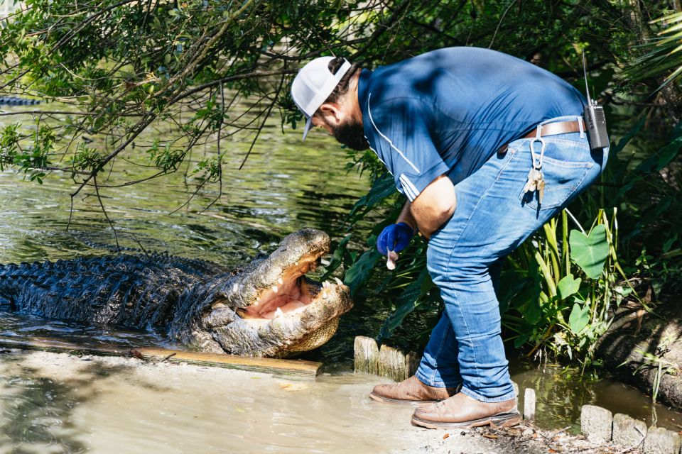 Orlando: Gatorland Skip-the-Line Ticket - Orlando: Gatorland Skip-the-Line Ticket – A Detailed Review