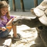 Orlando: Gatorland Skip-the-Line Ticket - What’s Included and What’s Not?