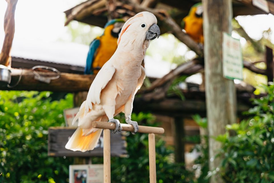 Orlando: Gatorland Skip-the-Line Ticket - Analyzing the Value