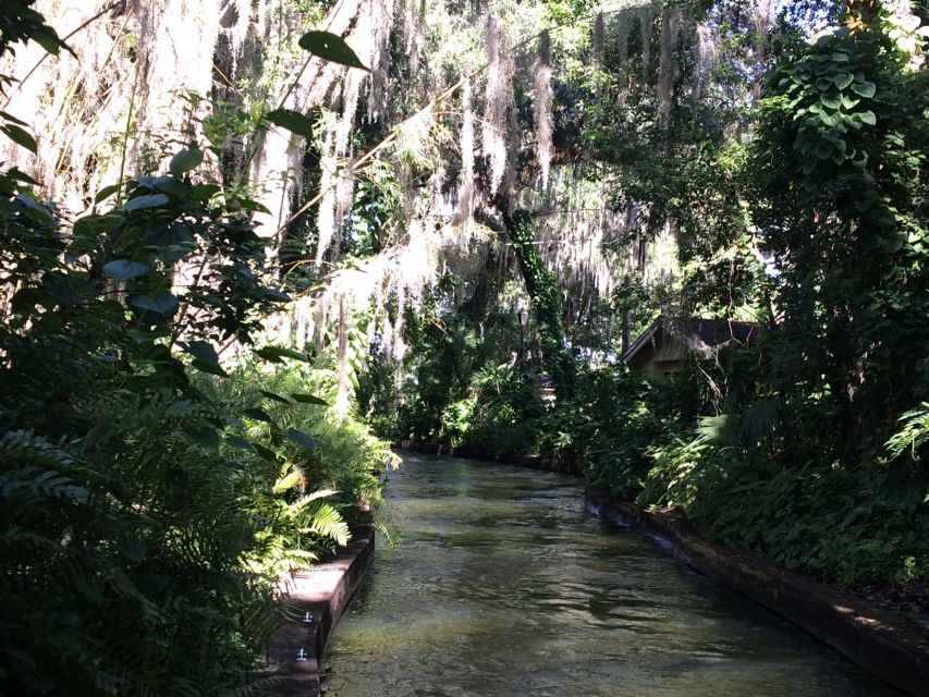 Orlando: Half-Day Sightseeing Tour + Eat & Play Savings Card - Exploring Orlando: A Balanced Look at the Half-Day Sightseeing Tour with Save & Play Card