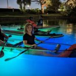 Orlando: LED Night Glow Clear Kayak or Paddleboard Tour - The Value of the Experience