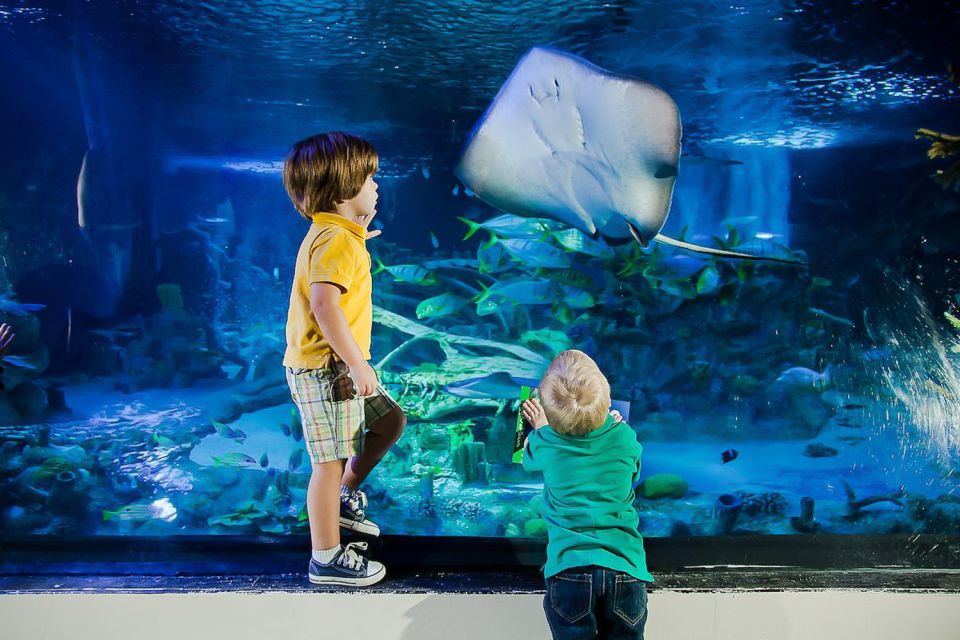 Orlando: Madame Tussauds and SEA LIFE Aquarium Combo Ticket - What to Expect at the Madame Tussauds and SEA LIFE Combo