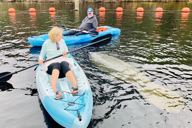 Orlando Manatee and Natural Spring Adventure Tour at Blue Springs - Who Would Love This Tour?