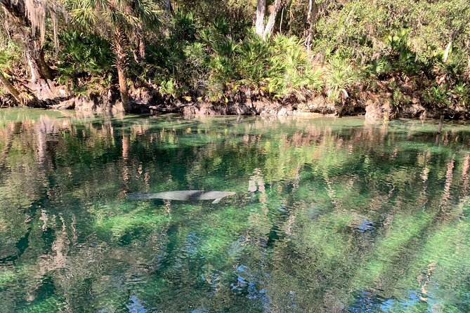 Orlando Manatee and Natural Spring Adventure Tour at Blue Springs - FAQ
