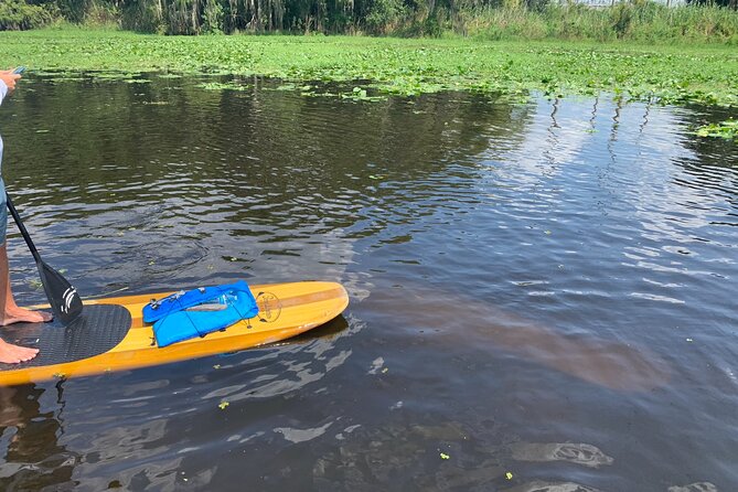 Orlando Manatee and Olde Florida History Adventure Tour - Considerations and Value