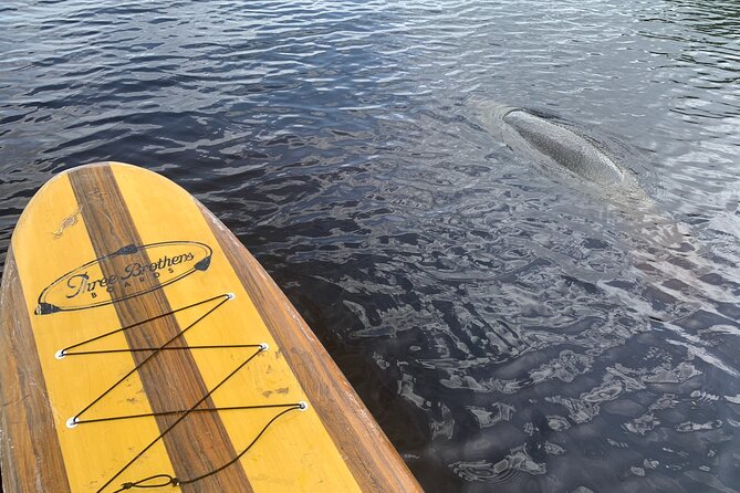 Orlando Manatee and Olde Florida History Adventure Tour - FAQ