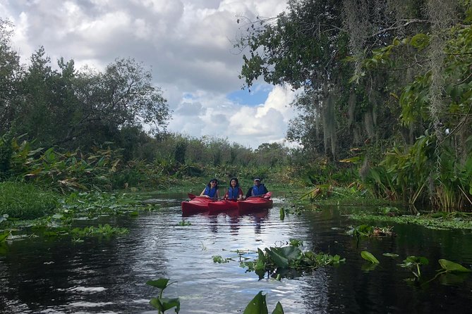 Orlando Manatee Encounters - Who Will Love This Tour?