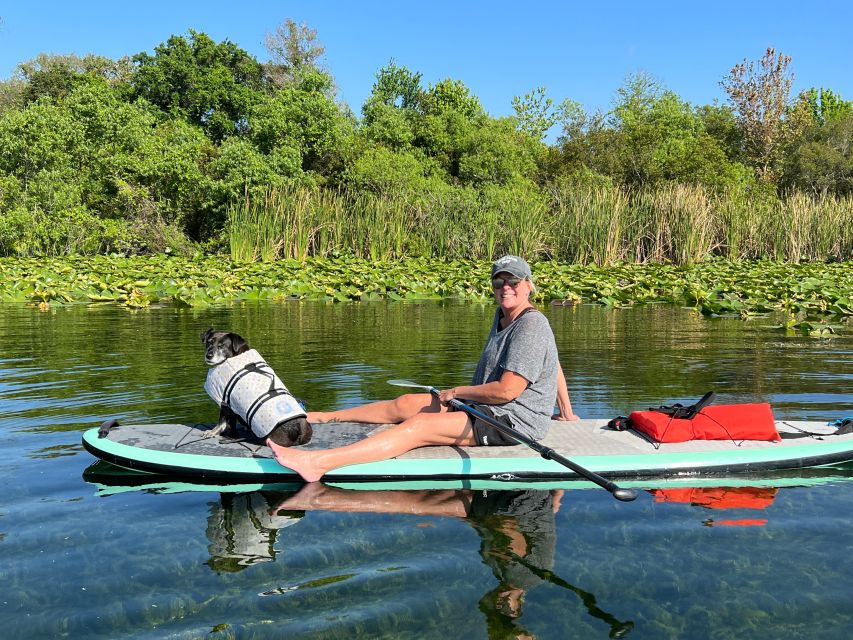 Orlando: Paddle with Pups in Paradise - Paddleboard or Kayak - Exploring Orlando’s Lake Ivanhoe with Your Pup