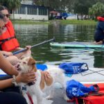 Orlando: Paddle with Pups in Paradise - Paddleboard or Kayak - How to Prepare for Your Paddle with Pups Adventure