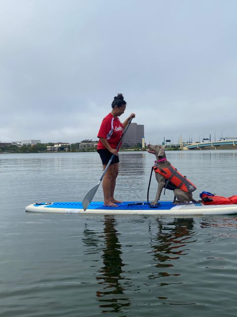 Orlando: Paddle with Pups in Paradise - Paddleboard or Kayak - The Itinerary Breakdown
