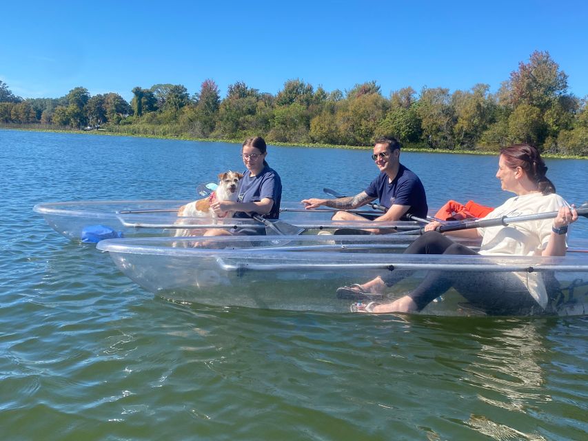 Orlando: Paddle with Pups in Paradise - Paddleboard or Kayak - The Verdict: Is It Worth It?