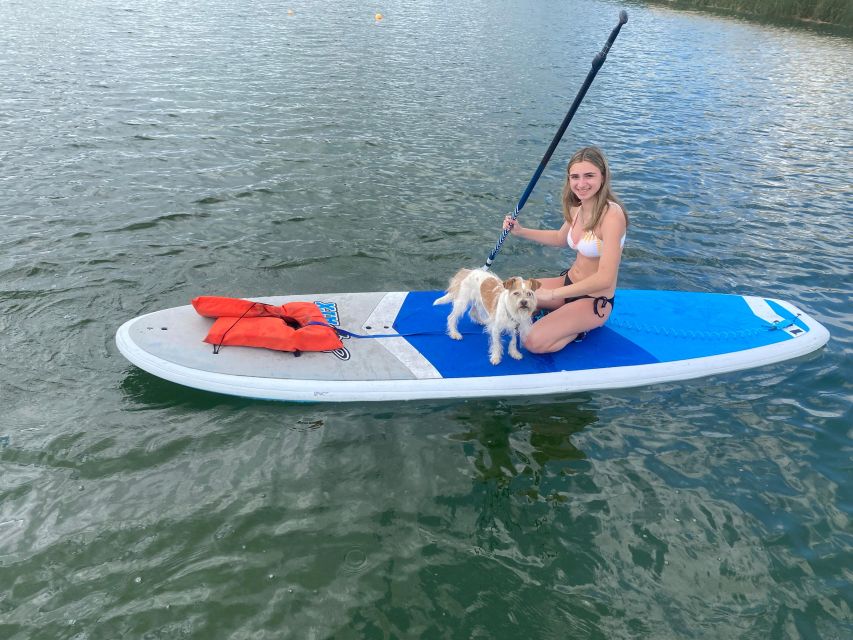 Orlando: Paddle with Pups in Paradise - Paddleboard or Kayak - Final Thoughts on Paddle with Pups in Paradise