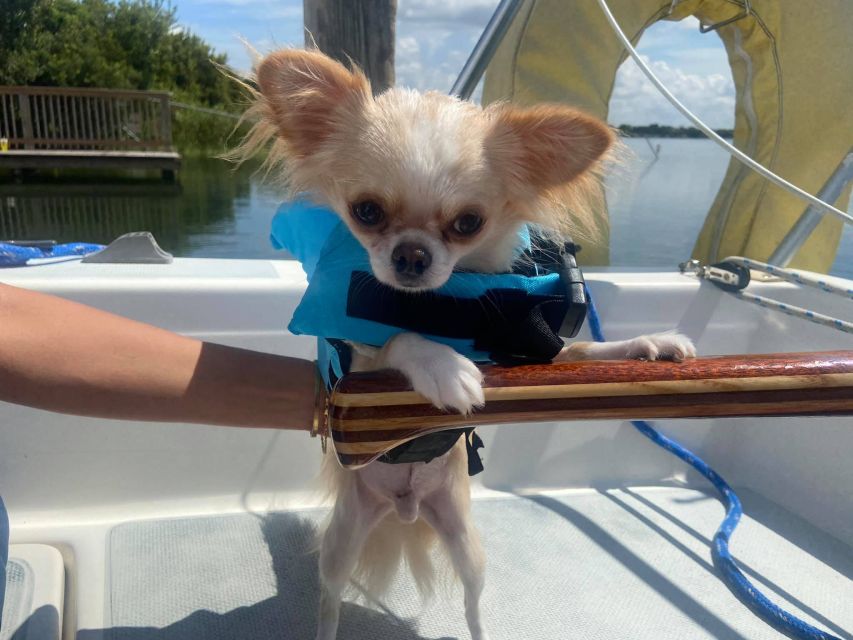 Orlando: Sailing Tour with Certified Sailing Instructor - The Experience Provider: Sailing Orlando