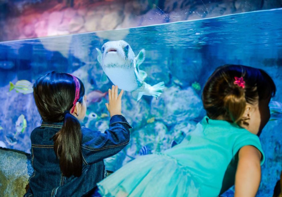 Orlando: SEA LIFE Orlando Aquarium - Key Points
