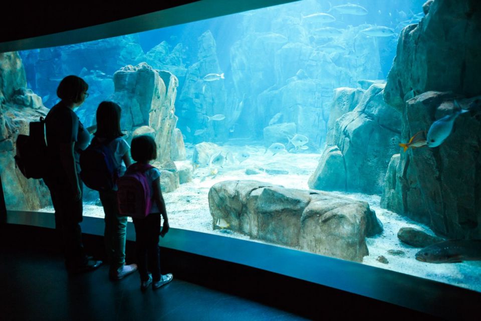 Orlando: SEA LIFE Orlando Aquarium - A Closer Look at the Experience