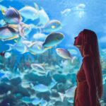 Orlando: SEA LIFE Orlando Aquarium - Authentic Experiences from Visitors