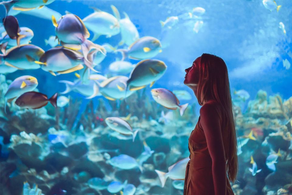 Orlando: SEA LIFE Orlando Aquarium - Authentic Experiences from Visitors