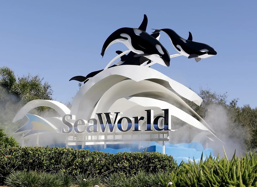 Orlando: SeaWorld Shuttle Service - An Honest Look at the Orlando: SeaWorld Shuttle Service