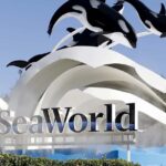 Orlando: SeaWorld Shuttle Service - The Itinerary Breakdown