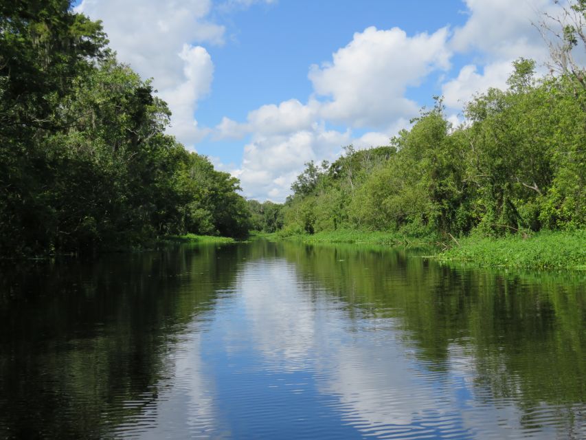Orlando: Small Group Manatee Discovery Kayak Tour - Key Points