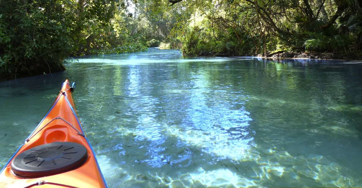 Orlando: Small Group Rock Springs Run Kayak Tour - An In-Depth Look at the Rock Springs Run Kayak Tour
