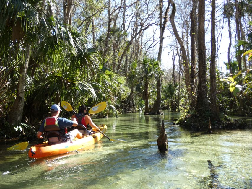 Orlando: Small Group Rock Springs Run Kayak Tour - What’s Included and Practical Details