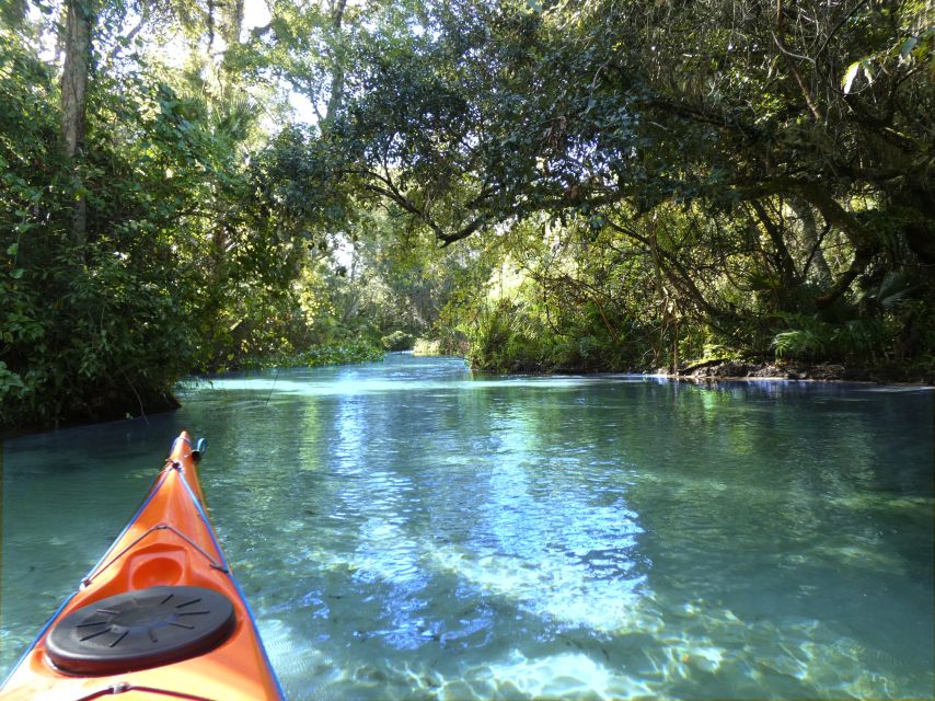 Orlando: Small Group Rock Springs Run Kayak Tour - Why This Tour Stands Out
