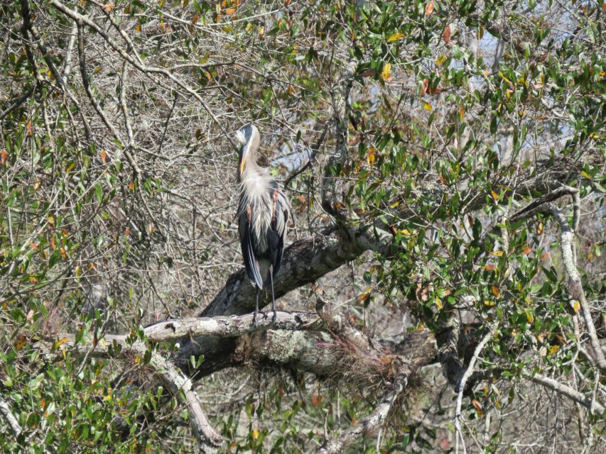 Orlando: Small Group Rock Springs Run Kayak Tour - Final Thoughts