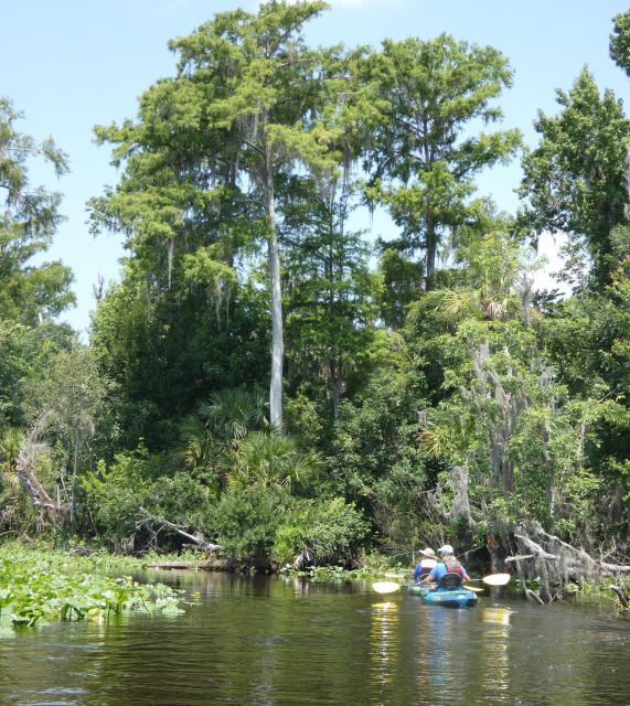 Orlando: Small Group Scenic Wekiva River Kayak Tour - Who Is This Tour Best For?