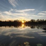 Orlando: Sunset guided kayaking tour - Why This Tour Is a Great Choice