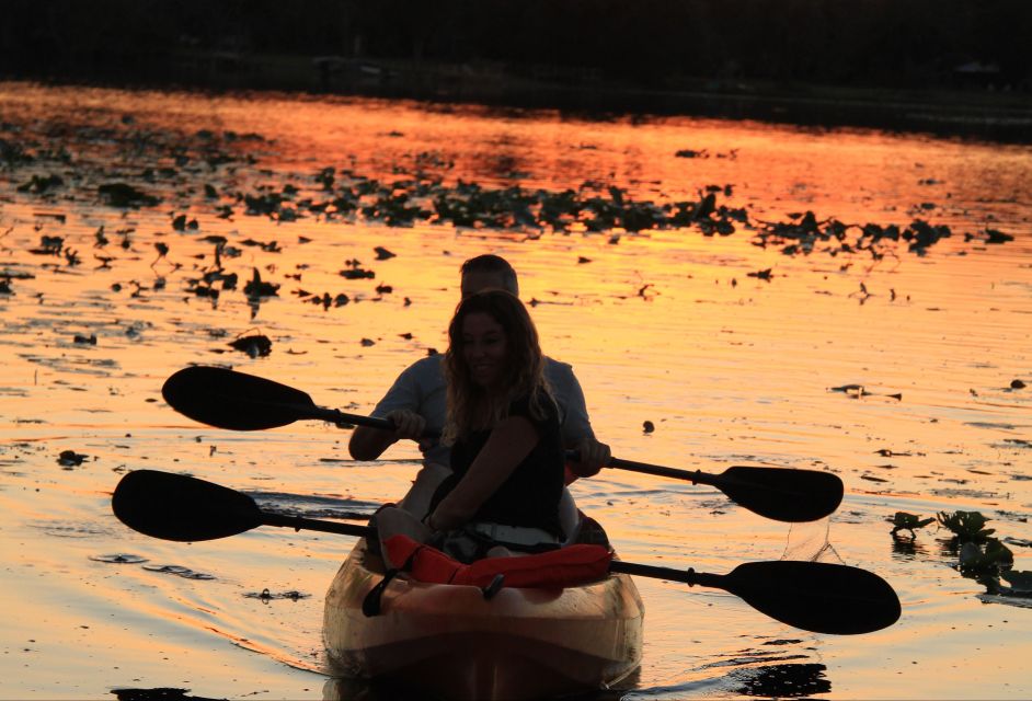 Orlando: Sunset guided kayaking tour - The Sum Up