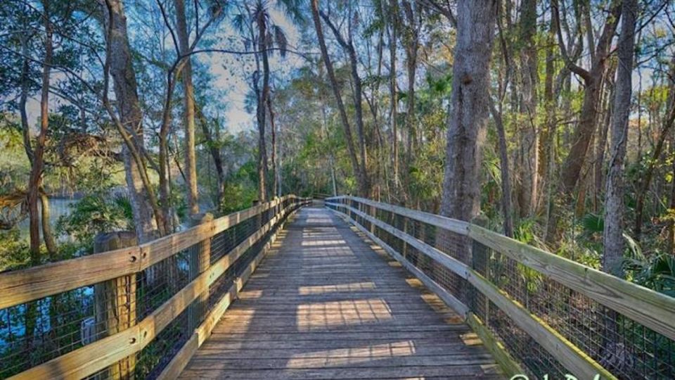 Orlando: Swim with Manatees and Homosassa State Park Visit - Authentic Experiences from Real Travelers