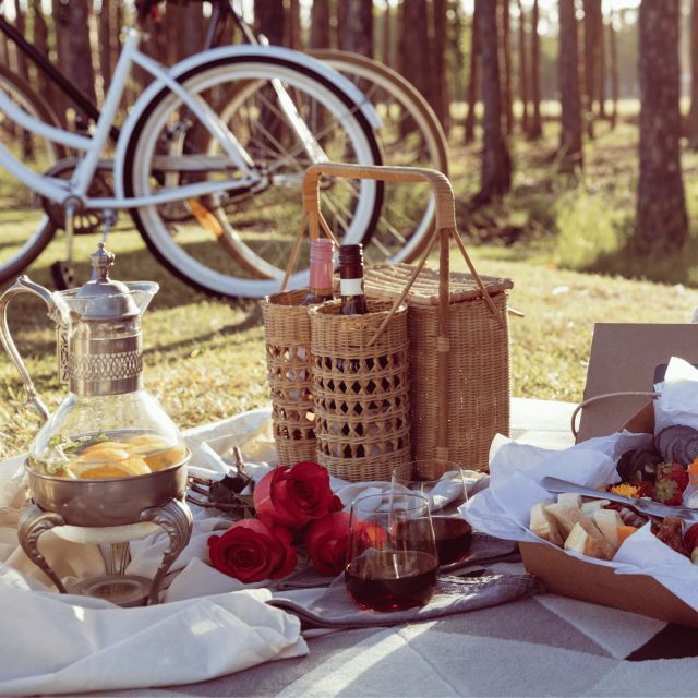 Orlando: Unveil Your Perfect Picnic Experience! - Summary of Value and Who It’s Best For  