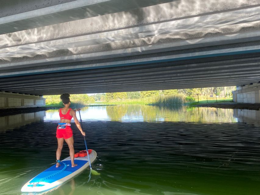 Orlando: Urban Clear Kayak or Paddleboard in Paradise - Who Is This Tour Best For?