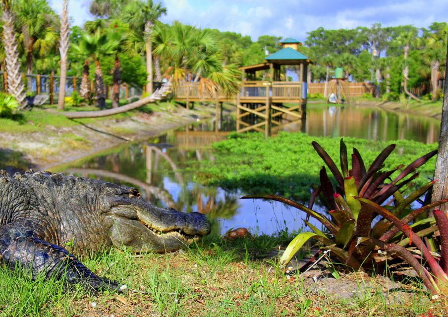 Orlando: Wild Florida Airboat Ride with Transport & Lunch - The Sum Up
