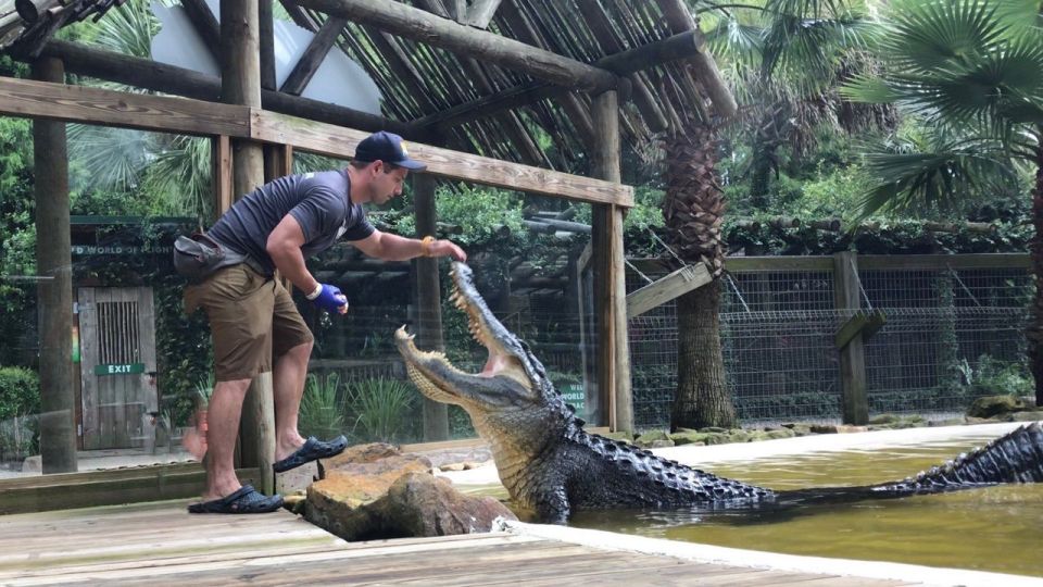 Orlando: Wild Florida Park Ticket and Gator Shows - Key Points  